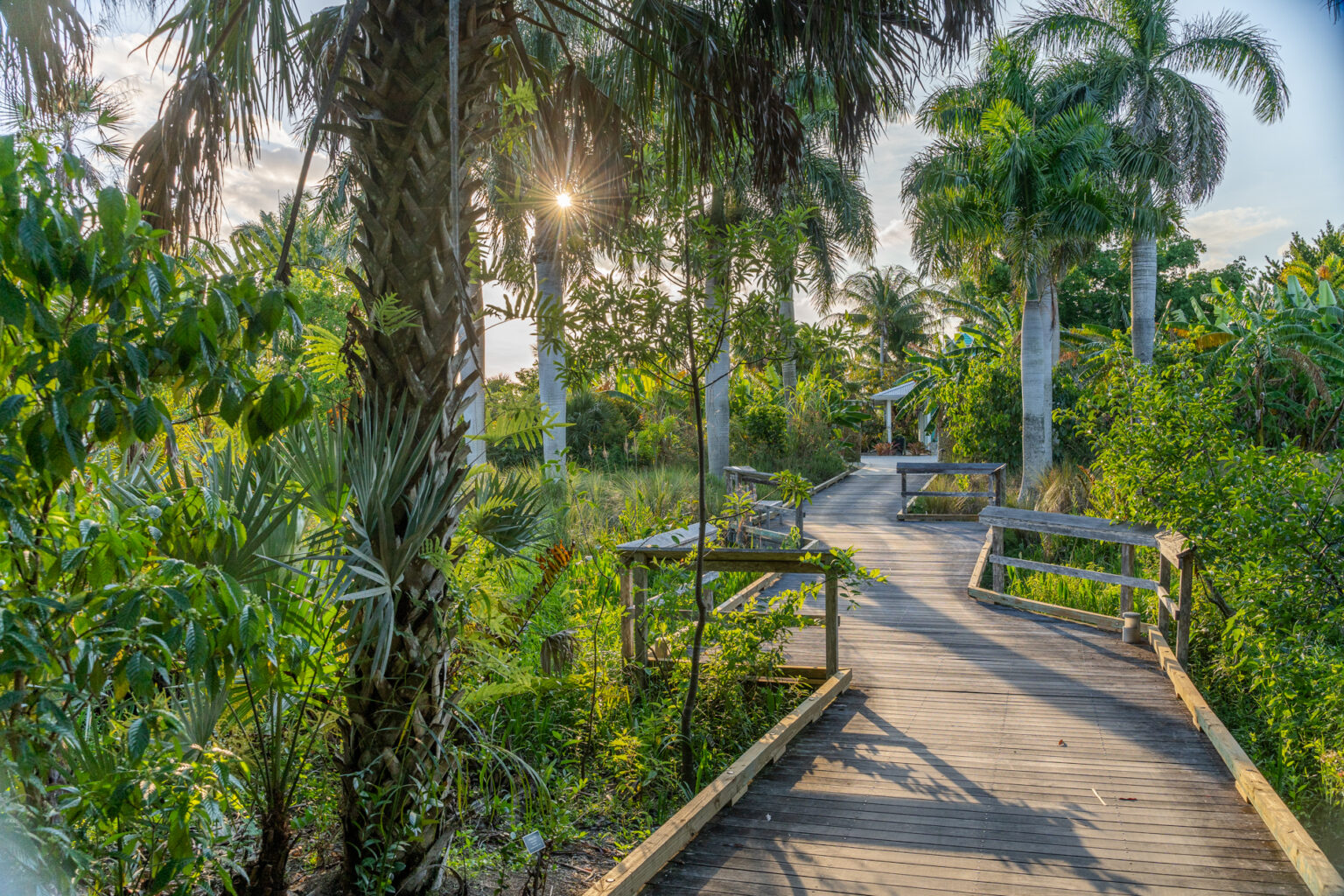 Southwest Florida Museums | Naples Botanical Garden